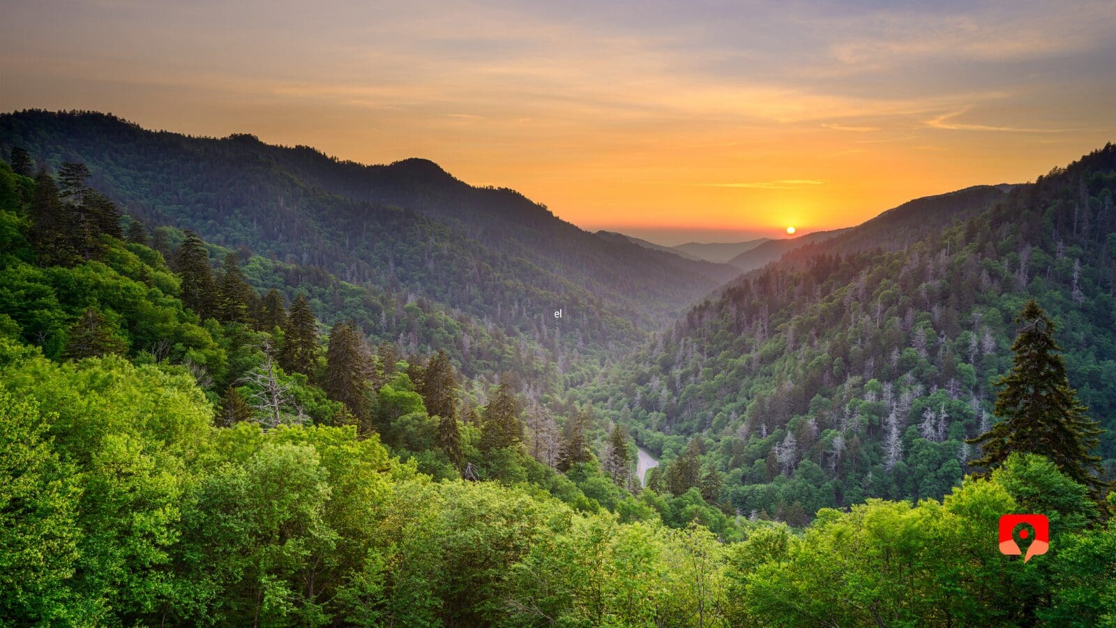 Newfound Gap Road | GyPSy Guide