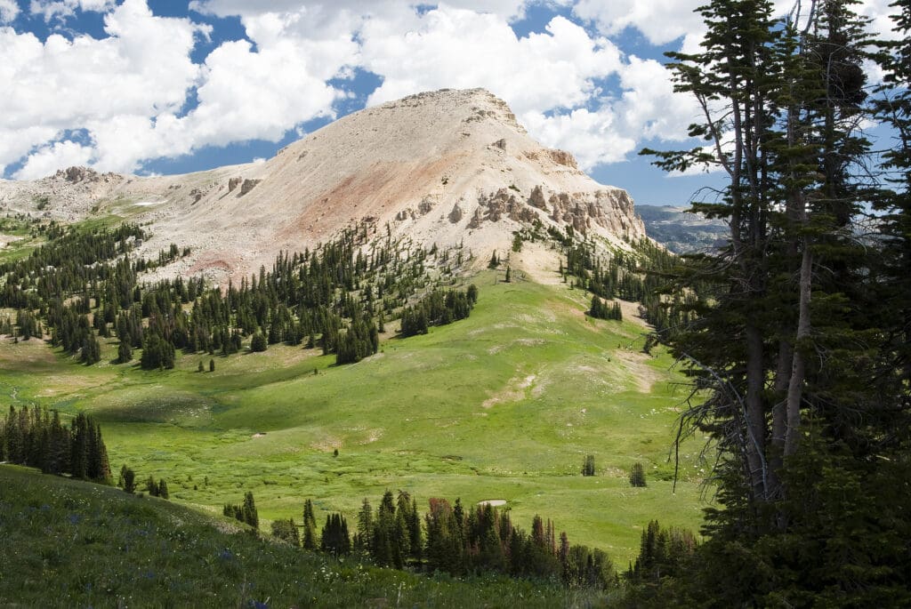 Clay Butte Lookout - Beartooth Highway | GyPSy Guide