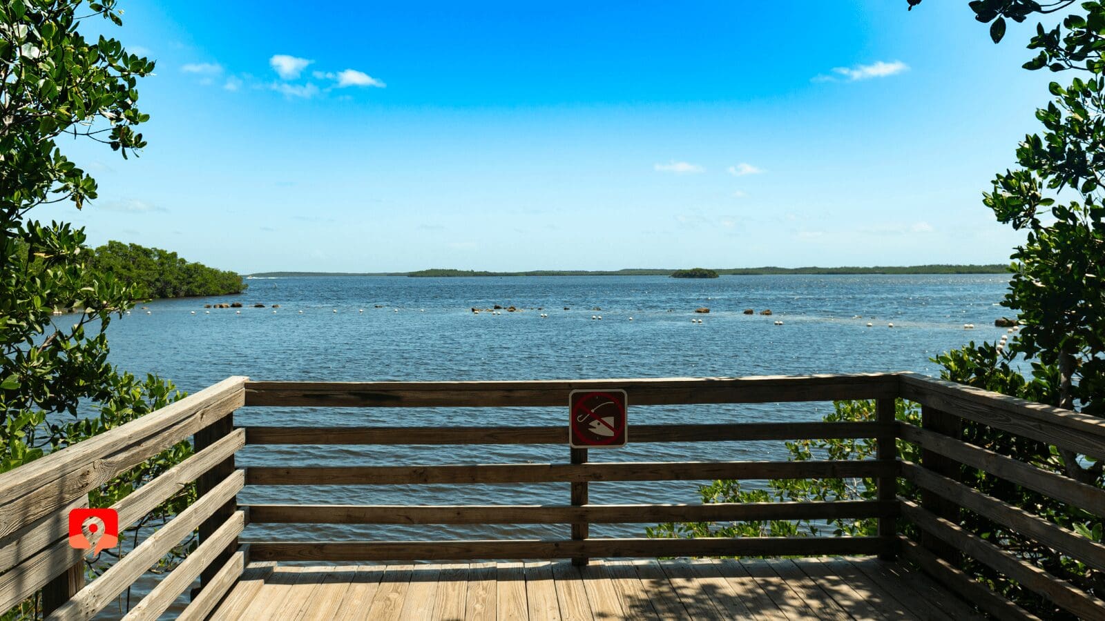 John Pennekamp Coral Reef State Park | GyPSy Guide
