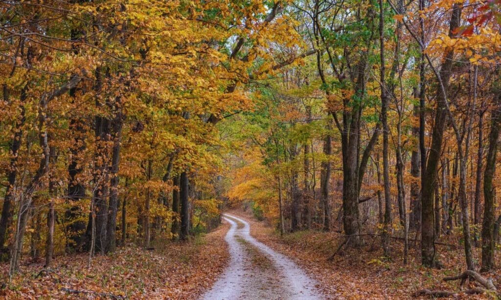 Old Trace Drive | GyPSy Guide
